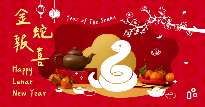 Holiday Announcement of Lunar New Year 2025 - TiMOTION